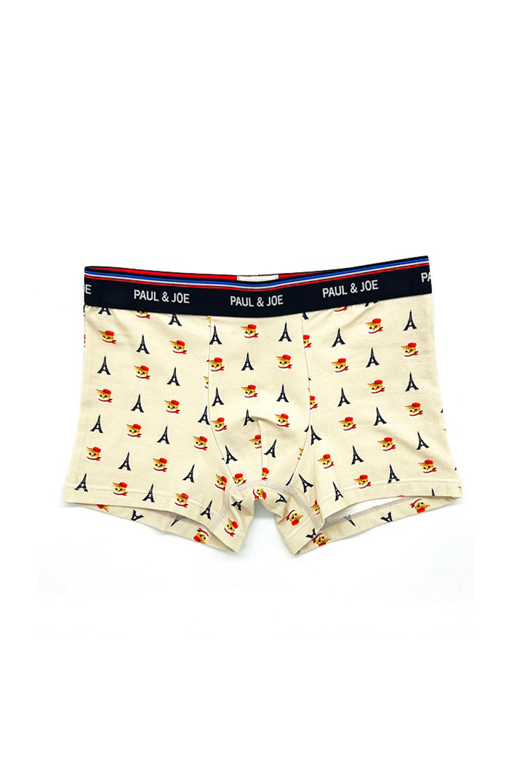 Beige boxer Nounette in Paris